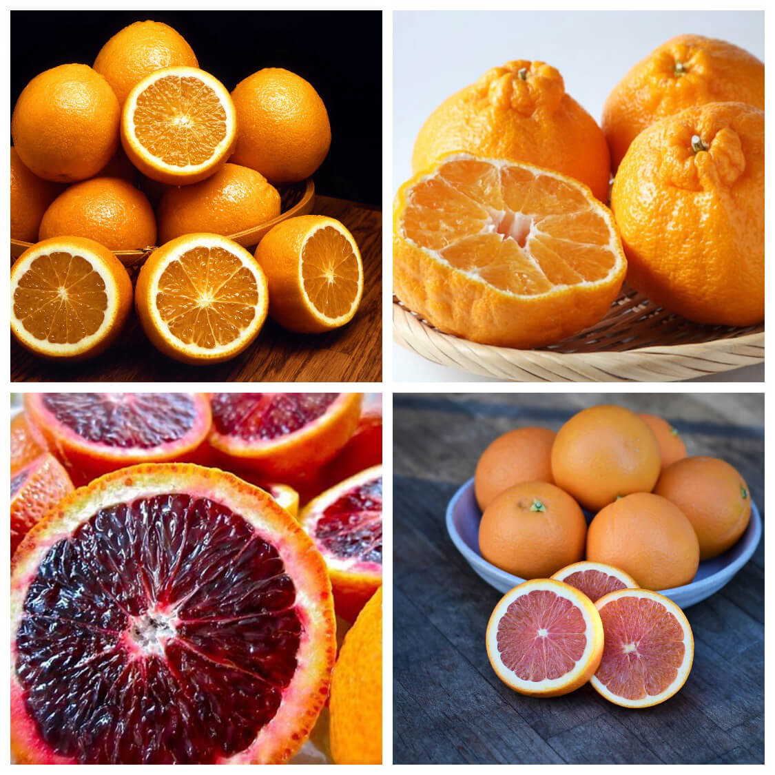 Cooking With Oranges – Cook Plate Fork
